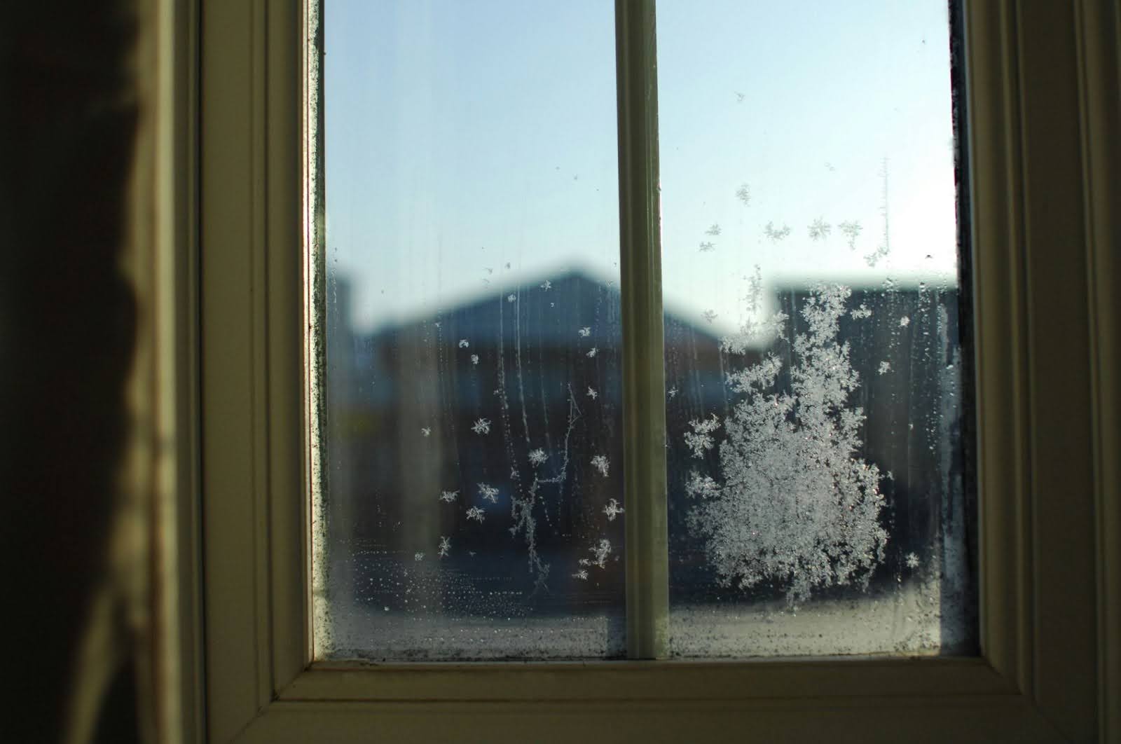 Condensation on Windows: Causes & Ways to Dehumidify | Mad City Windows ...