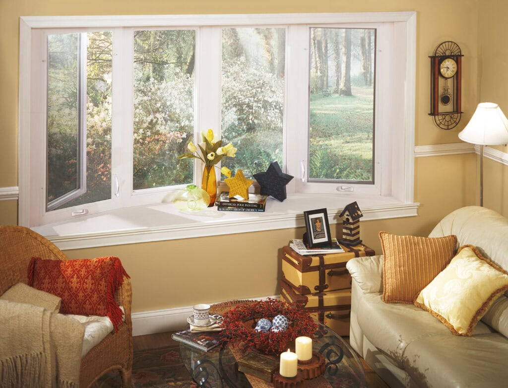 Window Consultation - Renuity